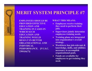 Nine merit principles | PDF