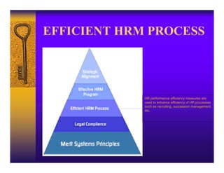 Nine merit principles | PDF