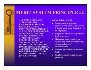 Merit System