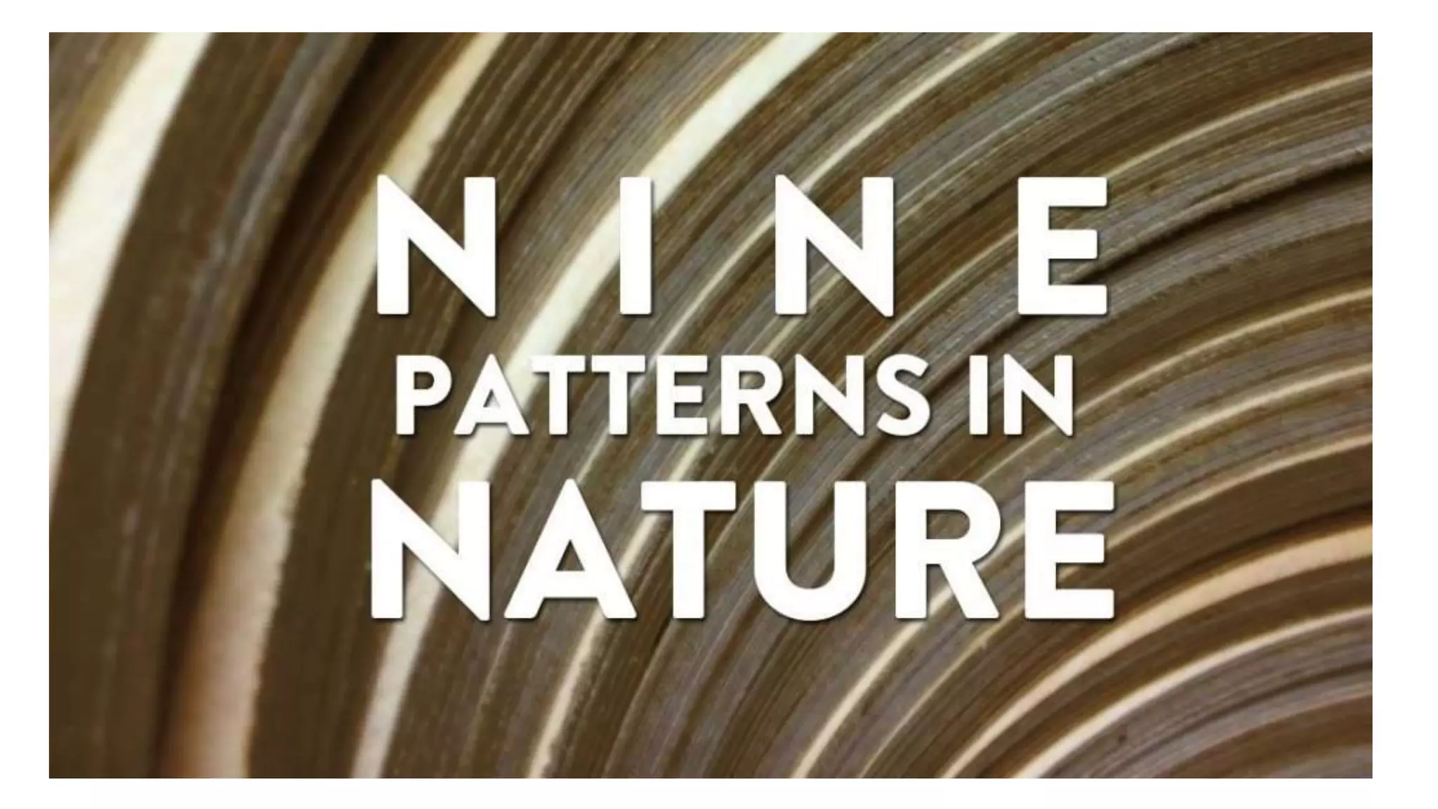Nine patterns in nature by CuriOdssey | PPTX