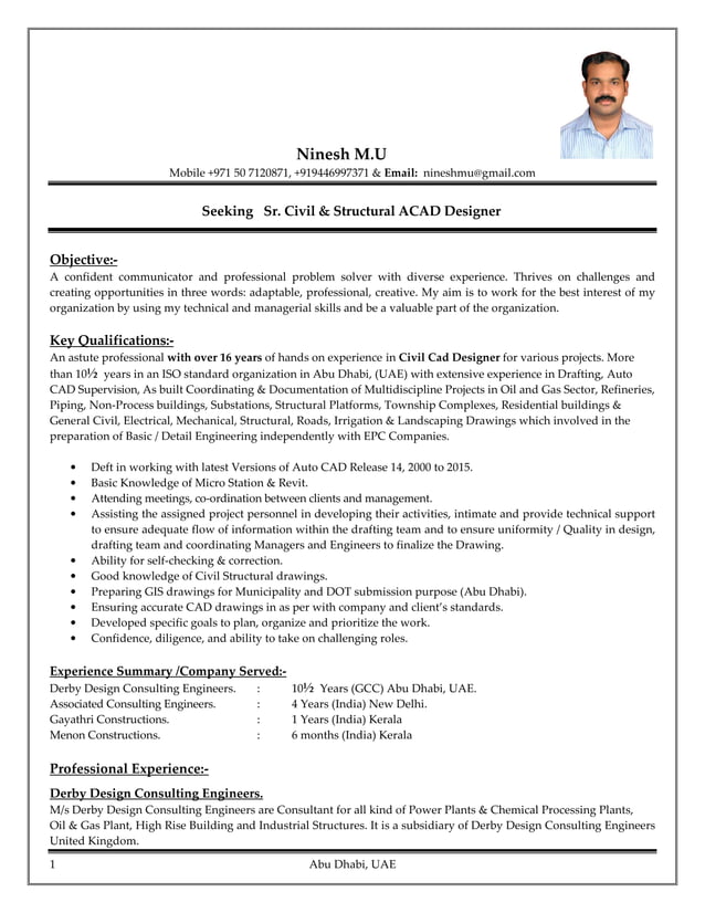 Ninesh mu cv | PDF