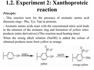 Ninhydrin.ppt
