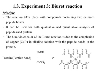 Ninhydrin.ppt