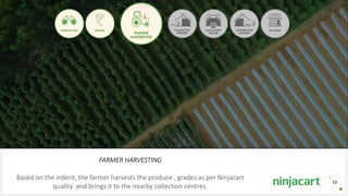 Supply Chain Manegement at Ninjacart | PPTX