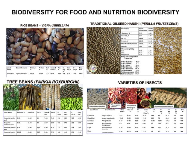 MAINSTREAMING INDIGENOUS FOODS: PERSPECTIVES FROM NORTHEAST INDIA | PPTX