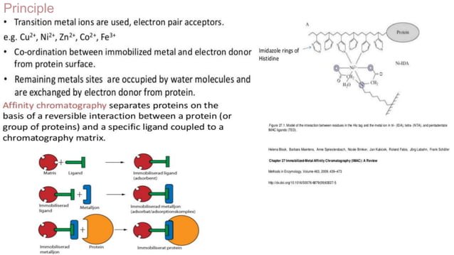 Ni NTA Immobilized Metal Affinity Chromatography | PPTX