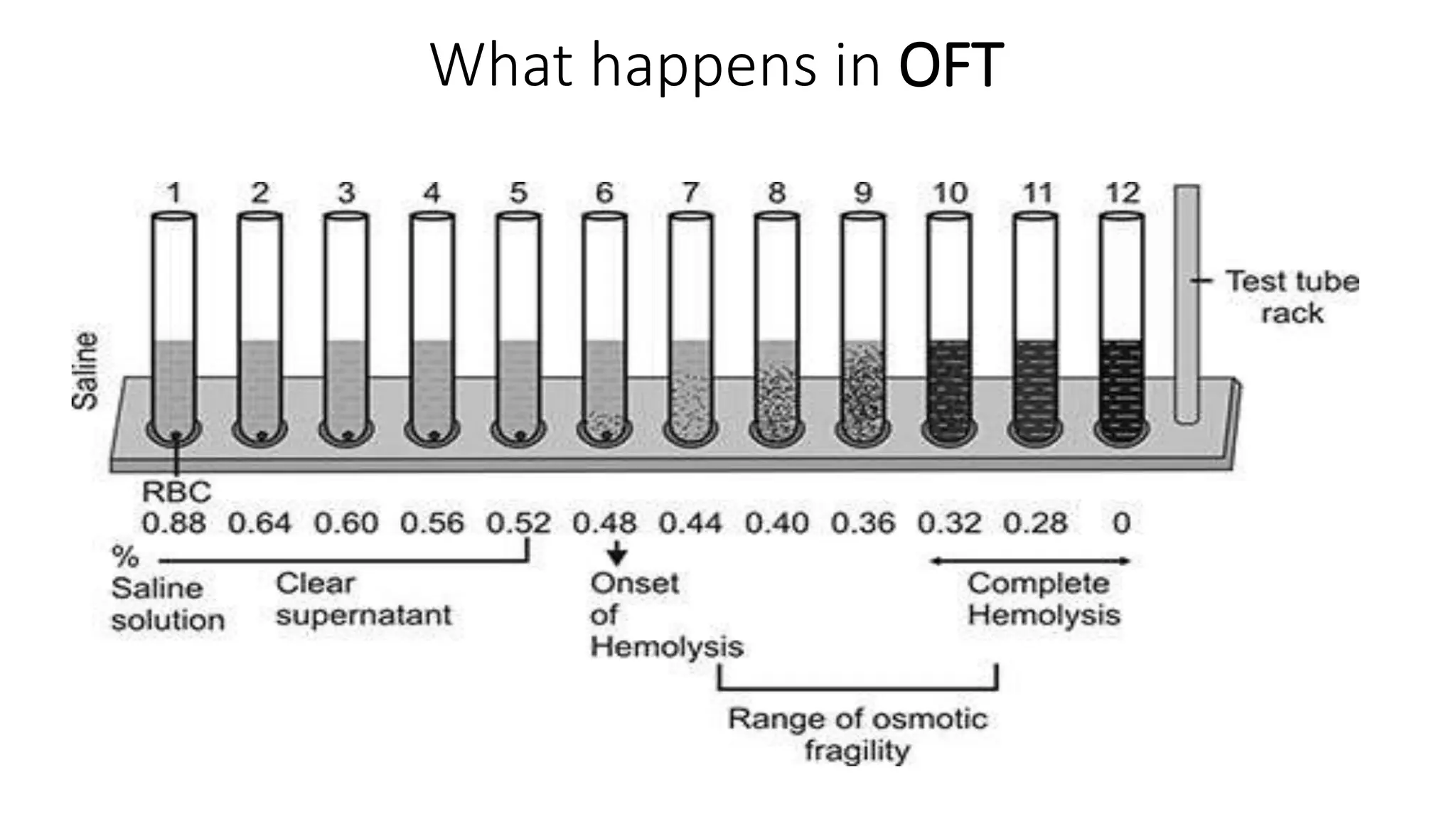 Ninth section of animals physiology.pptx
