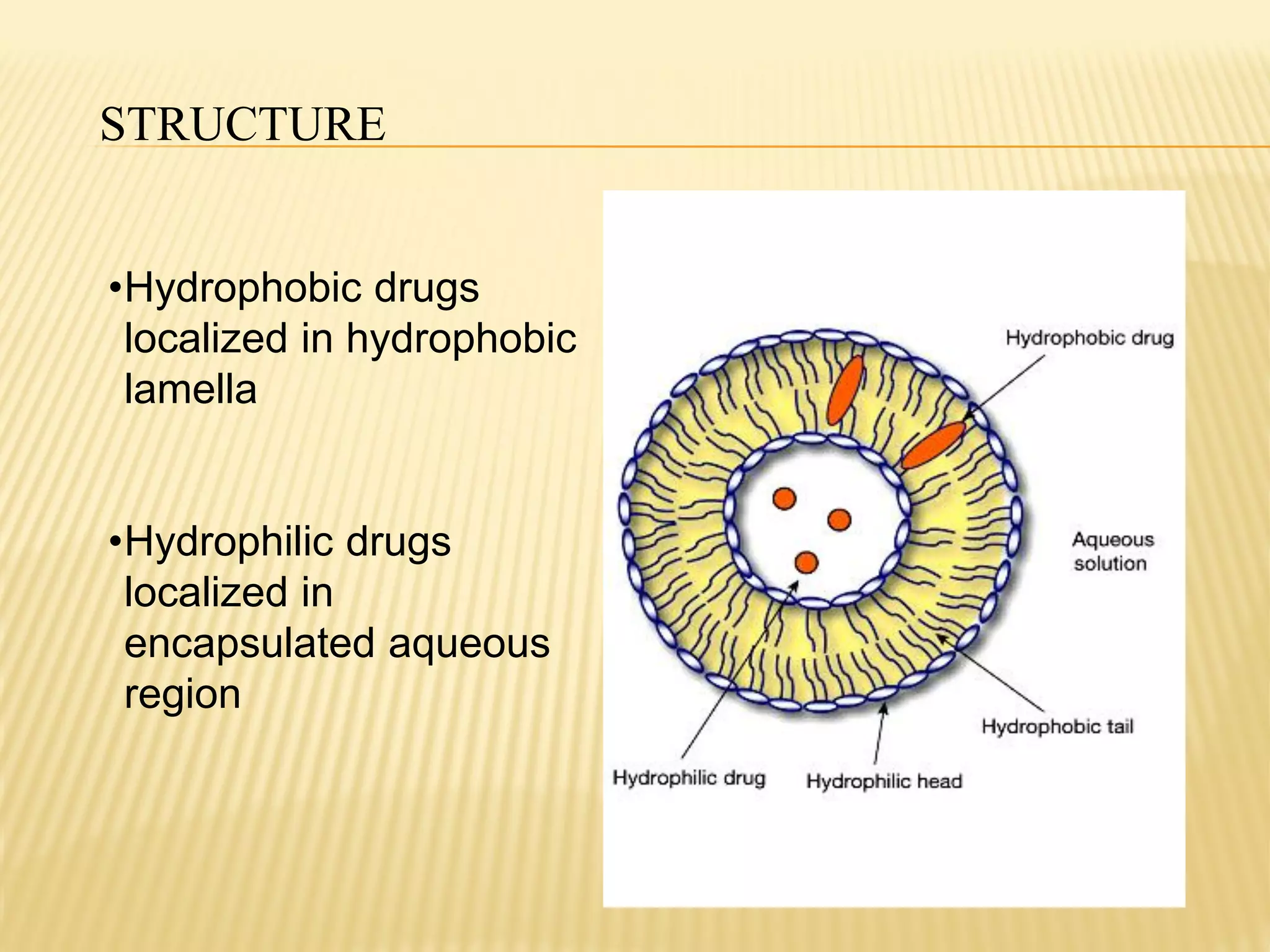 Niosome ndds- By Ankita Rai | PDF
