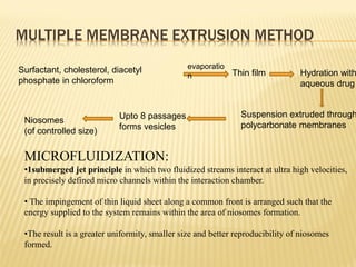 Niosome ndds- By Ankita Rai | PDF | Chemistry | Science