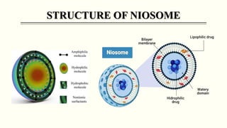 Niosome An Non-Ionic Surfactant Vesicles.pptx