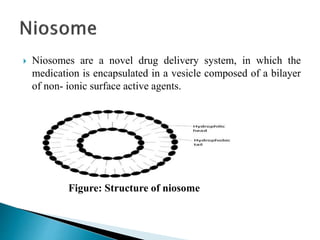 Niosome & Liposome | PPTX