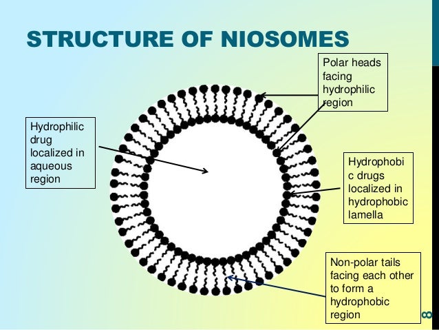 Niosomes
