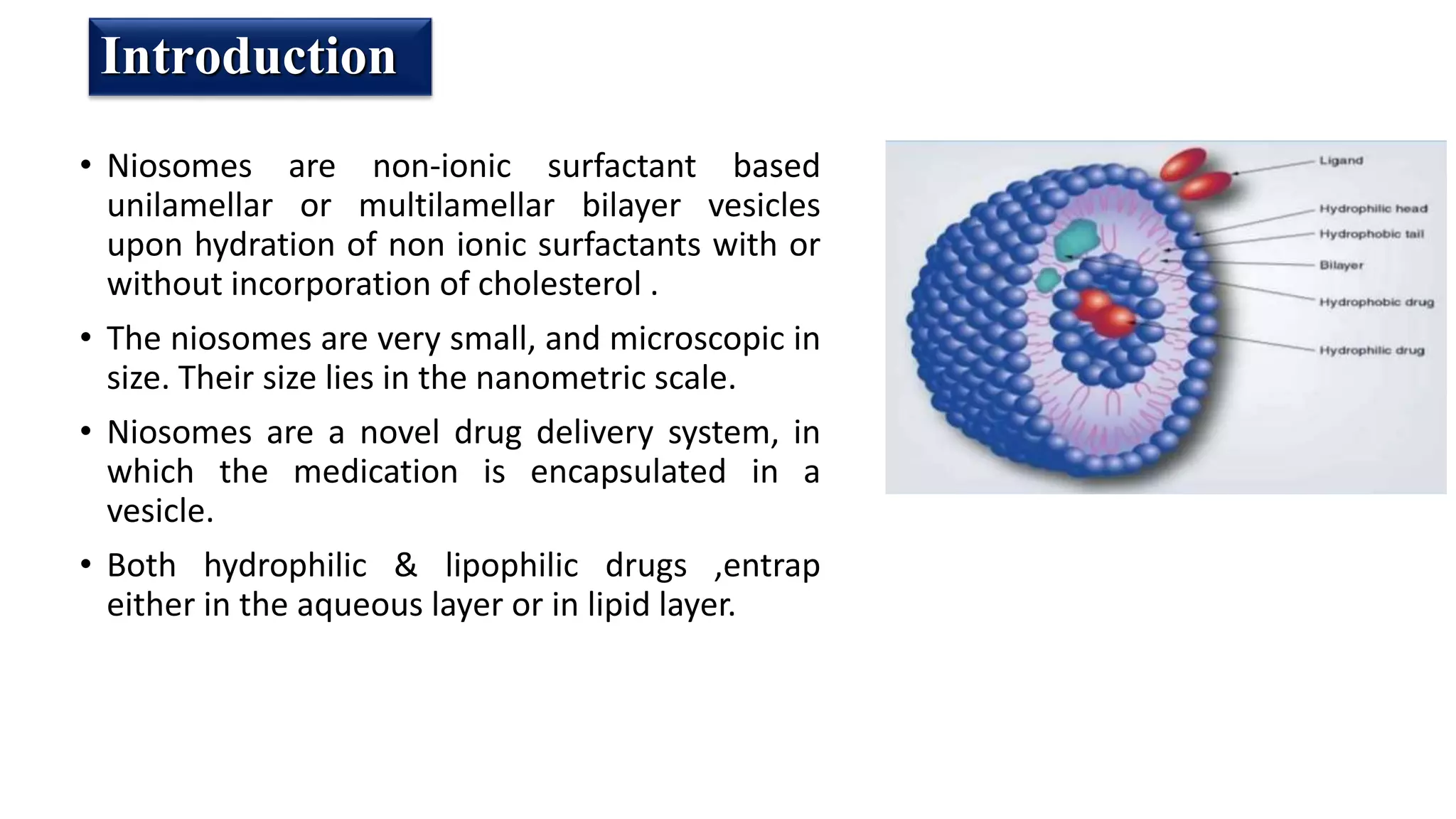 Niosomes | PPTX