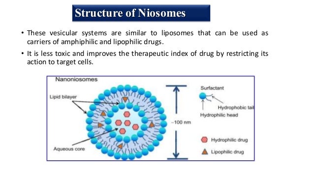 Niosomes