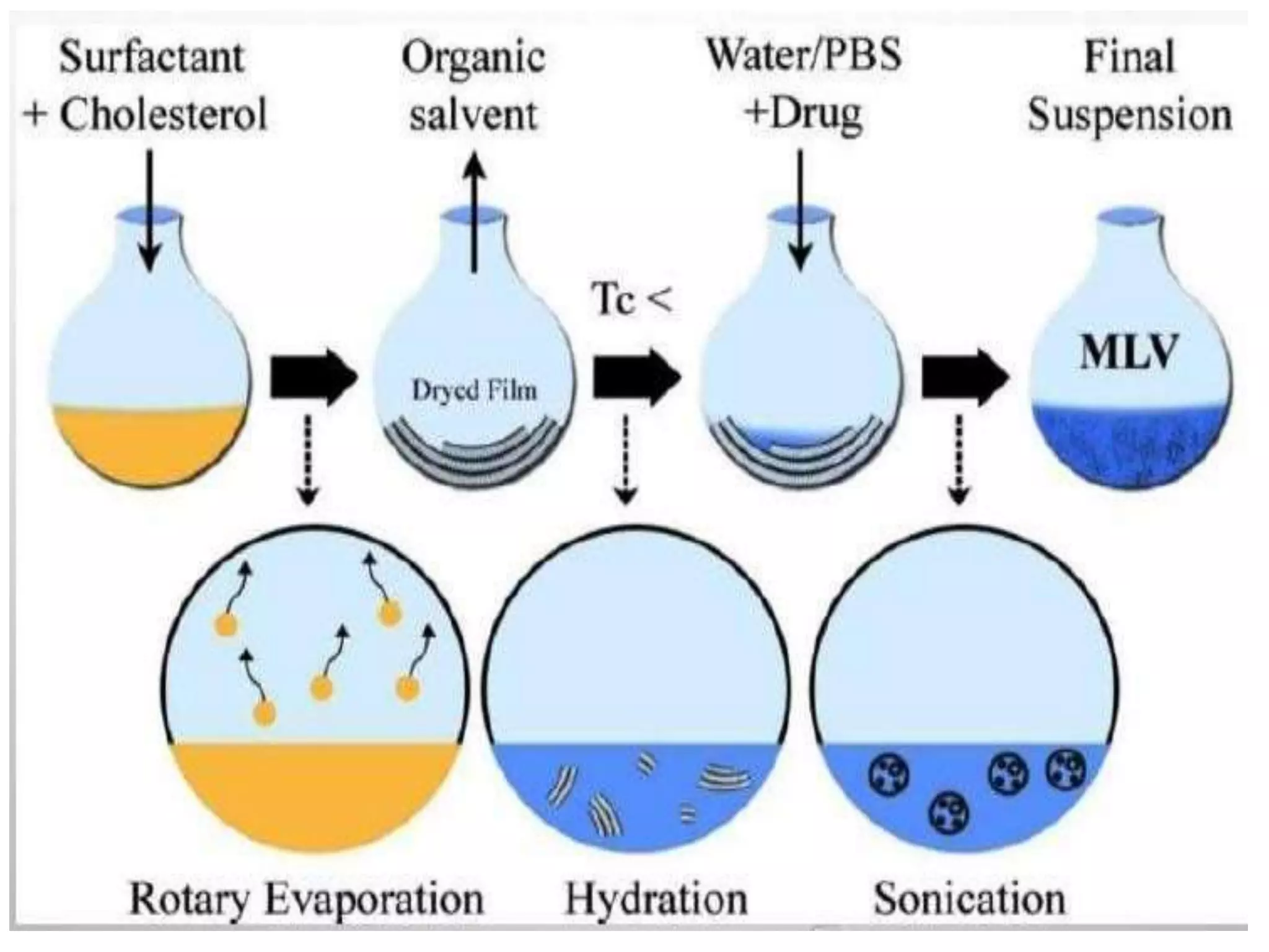 Niosomes (TARGETTEDDRUG DELIVERY SYSTEM) | PPTX