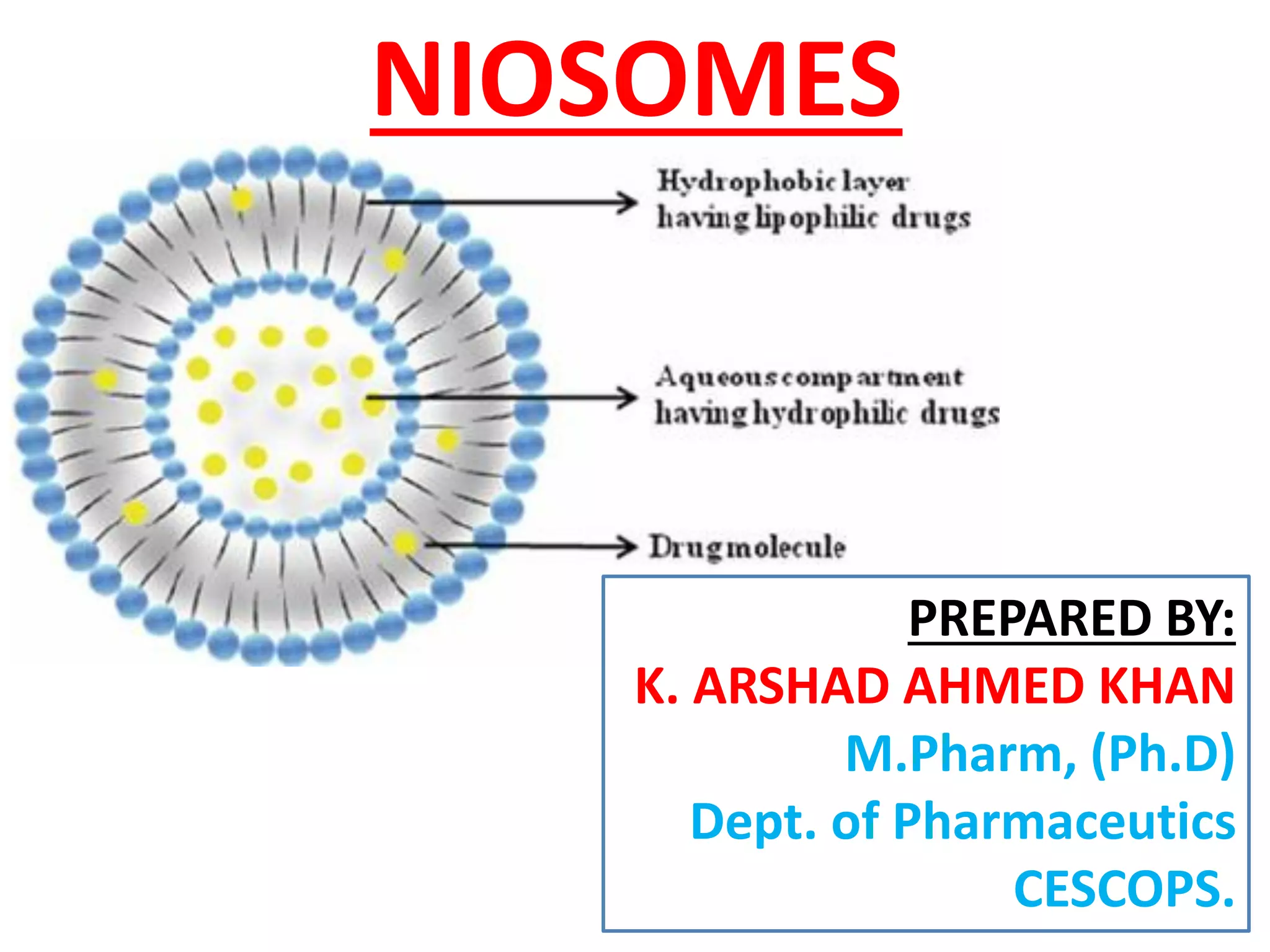 Niosomes | PDF
