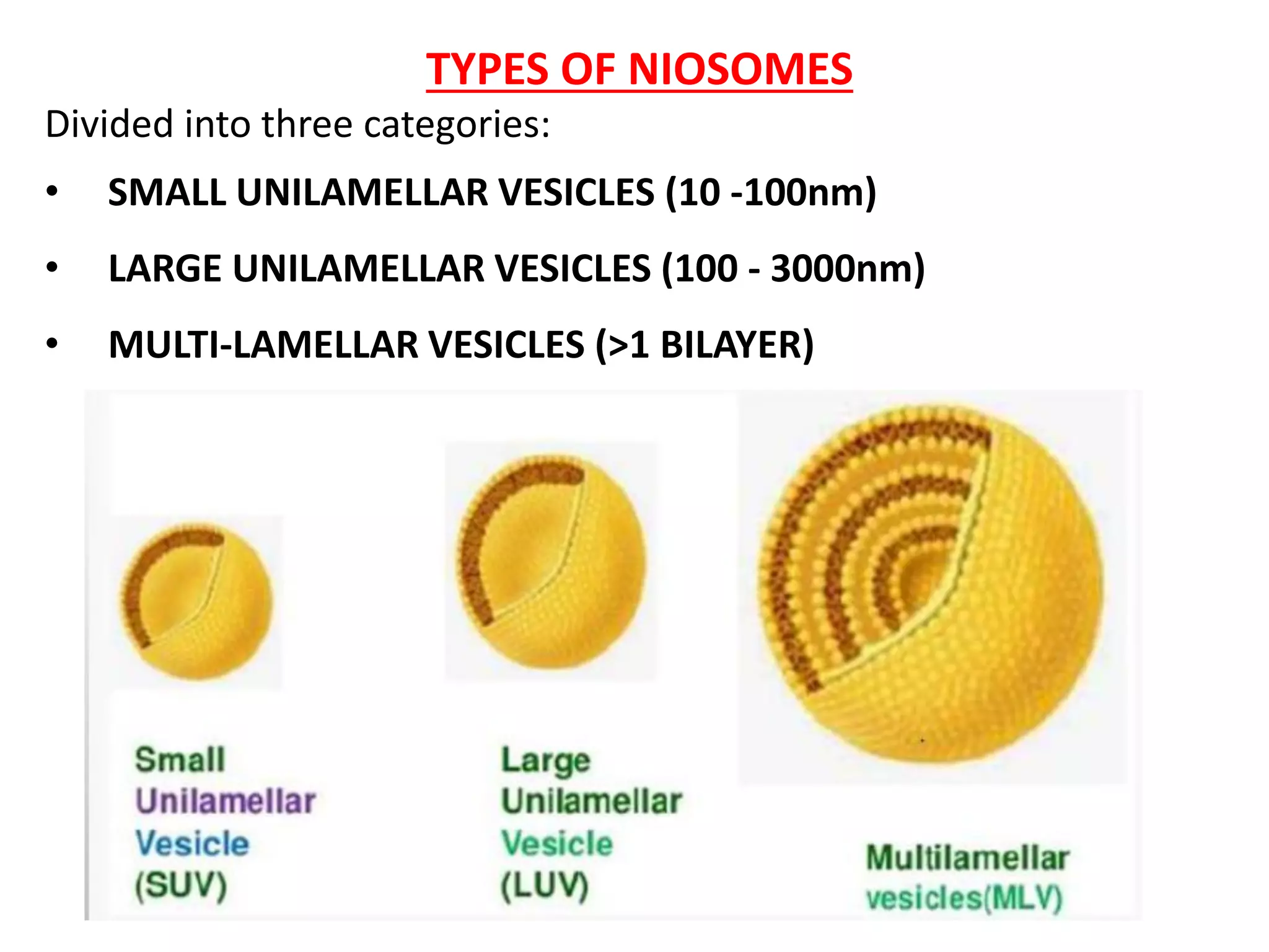 Niosomes | PDF