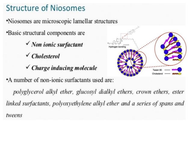 Niosomes | PDF
