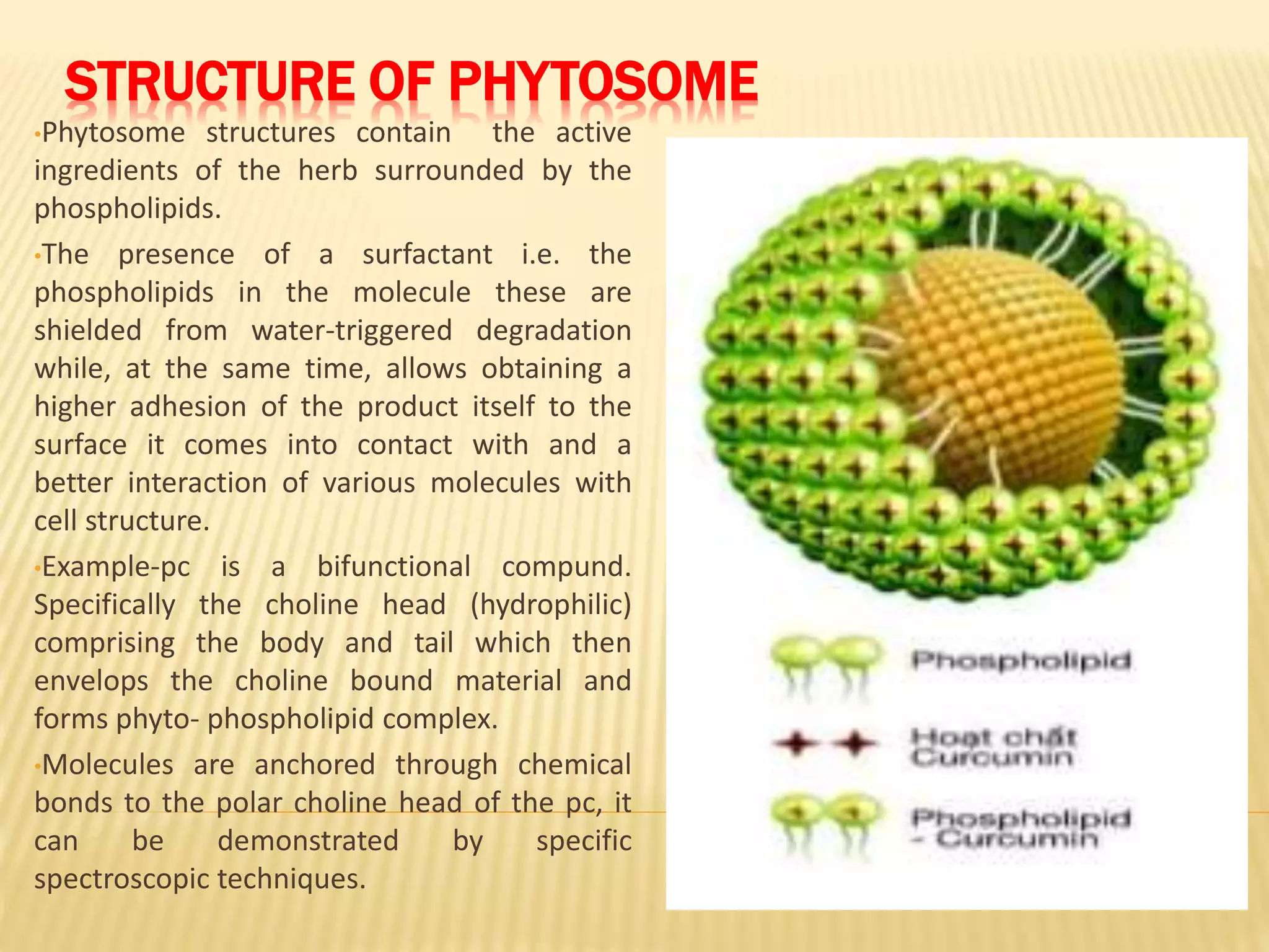 Niosomes,aquasomes,electrosomes,phytosomes | PPTX