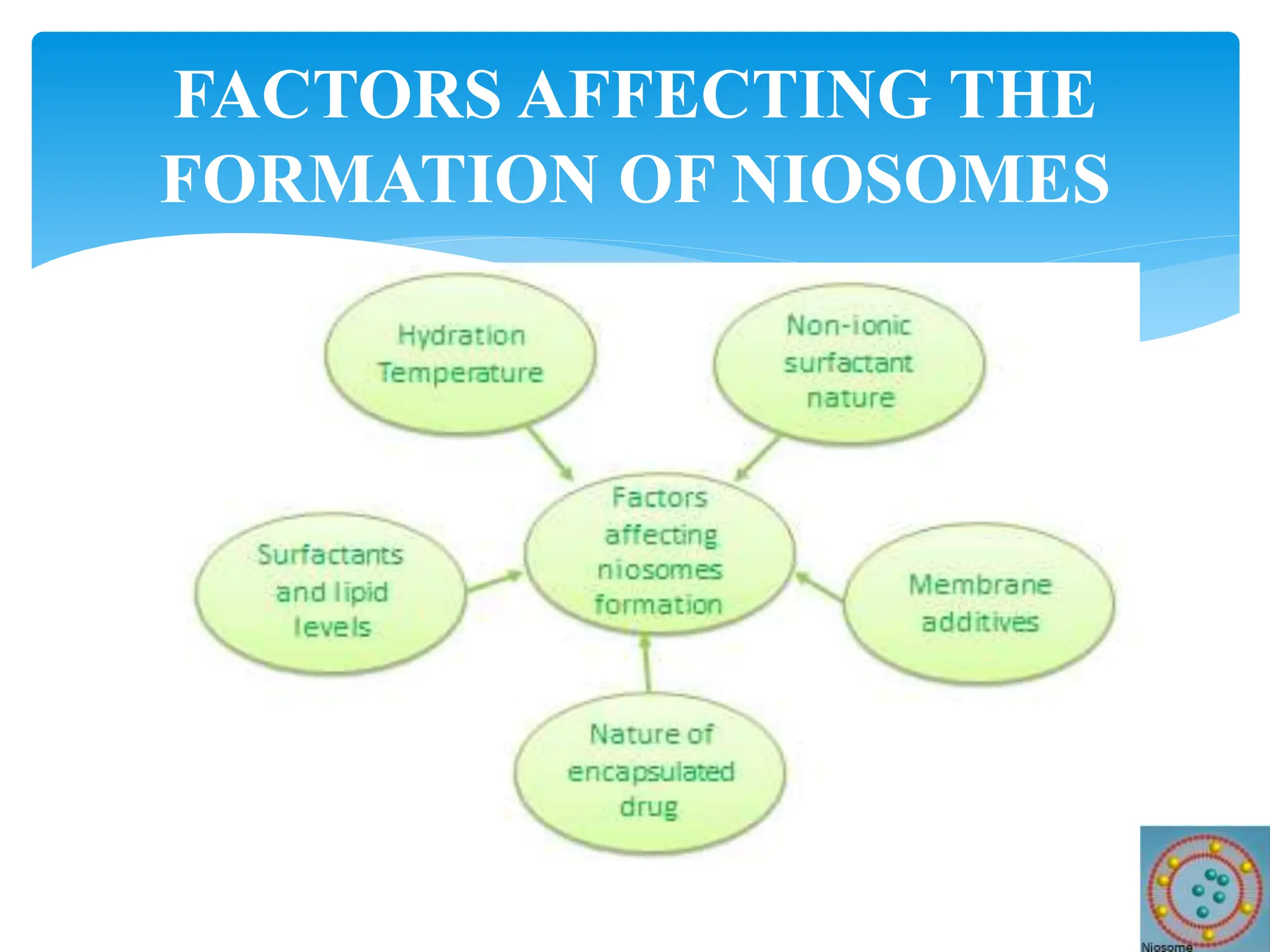 niosomes. Non-Ionic Surfactant Vesicles (Niosomes) | PPTX
