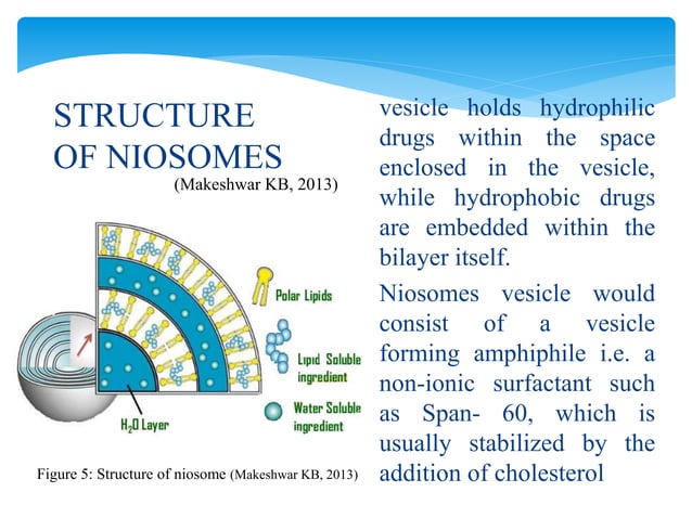 niosomes. Non-Ionic Surfactant Vesicles (Niosomes) | PPT