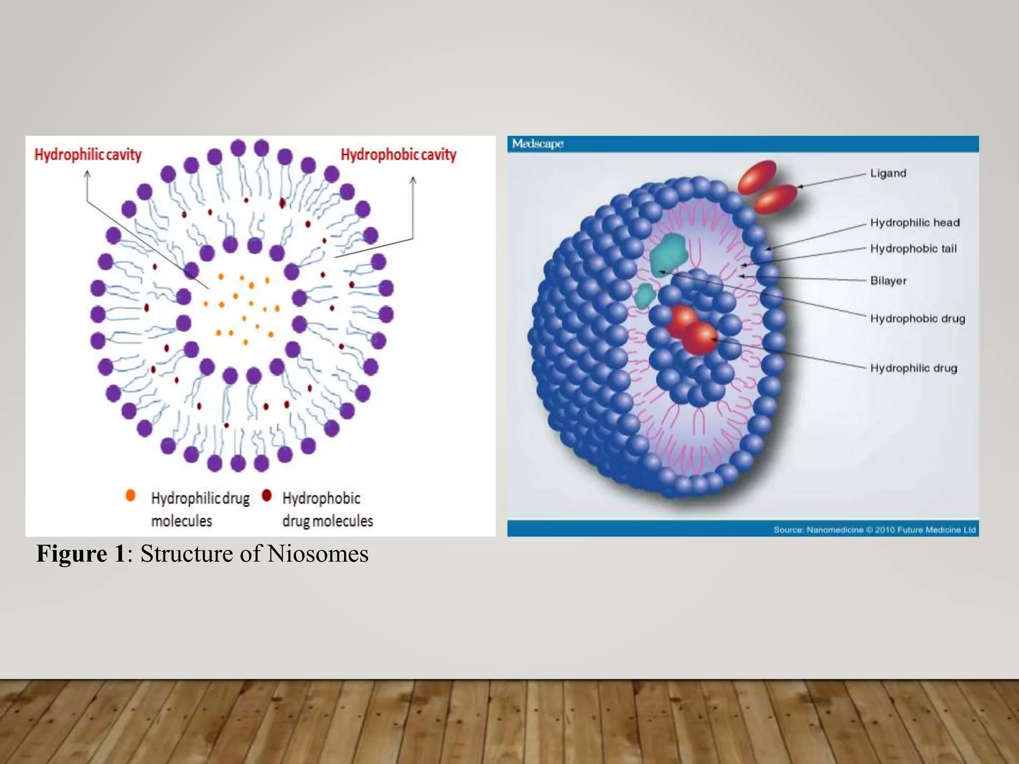 Niosomes ppt class | PPTX