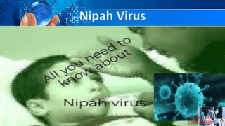 Nipah Virus: All You Need To Know About This Deadly Virus|Nipah Virus Explained | PPTX