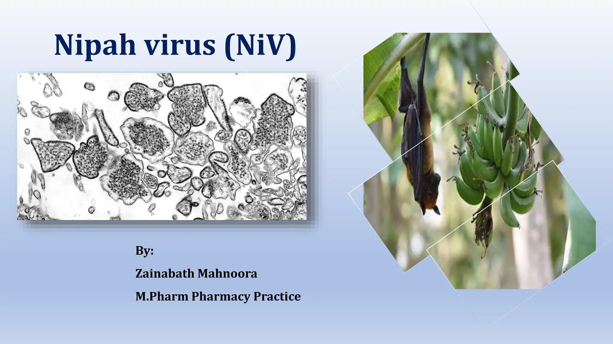 Nipah -Zainabath Mahnoora.pptx
