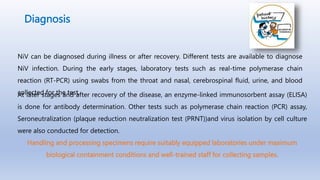 Nipah -Zainabath Mahnoora.pptx