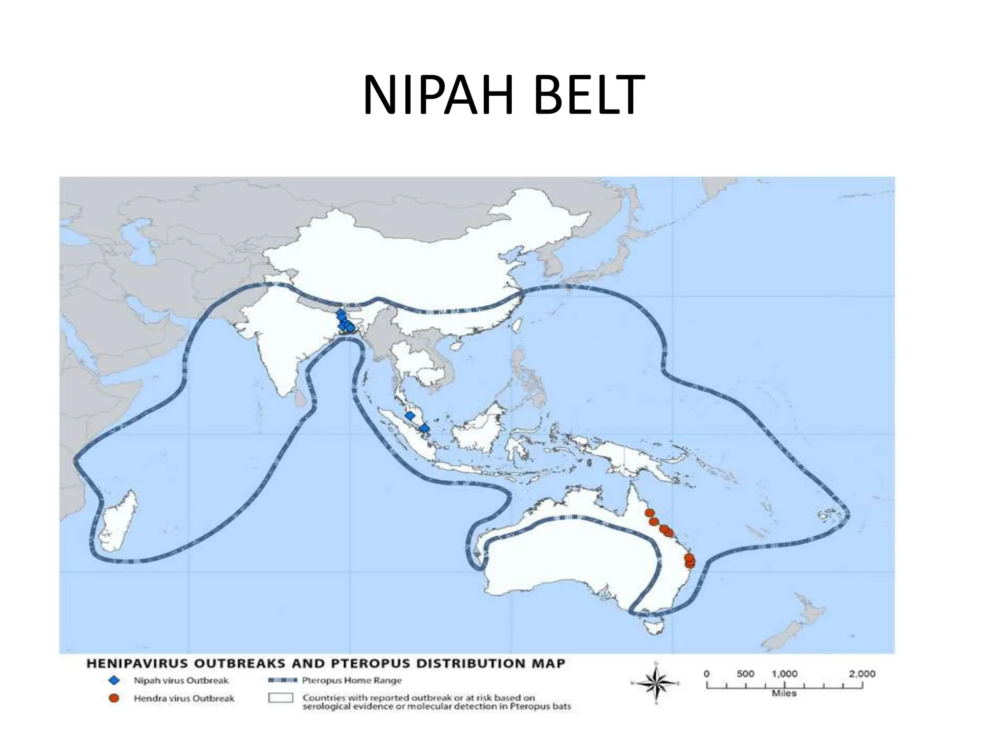 NIPAH final.ppt epidemiology Managemant and prevention | PPT