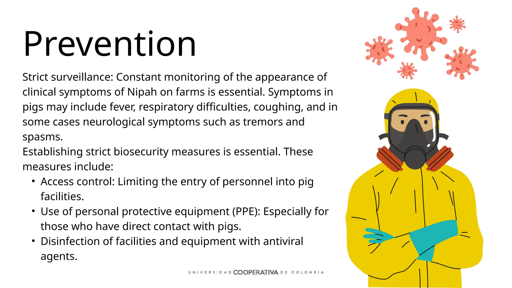 Nipah Presentación EN PORCINOS ENFERMEDAD.pptx