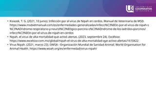 Nipah Presentación EN PORCINOS ENFERMEDAD.pptx