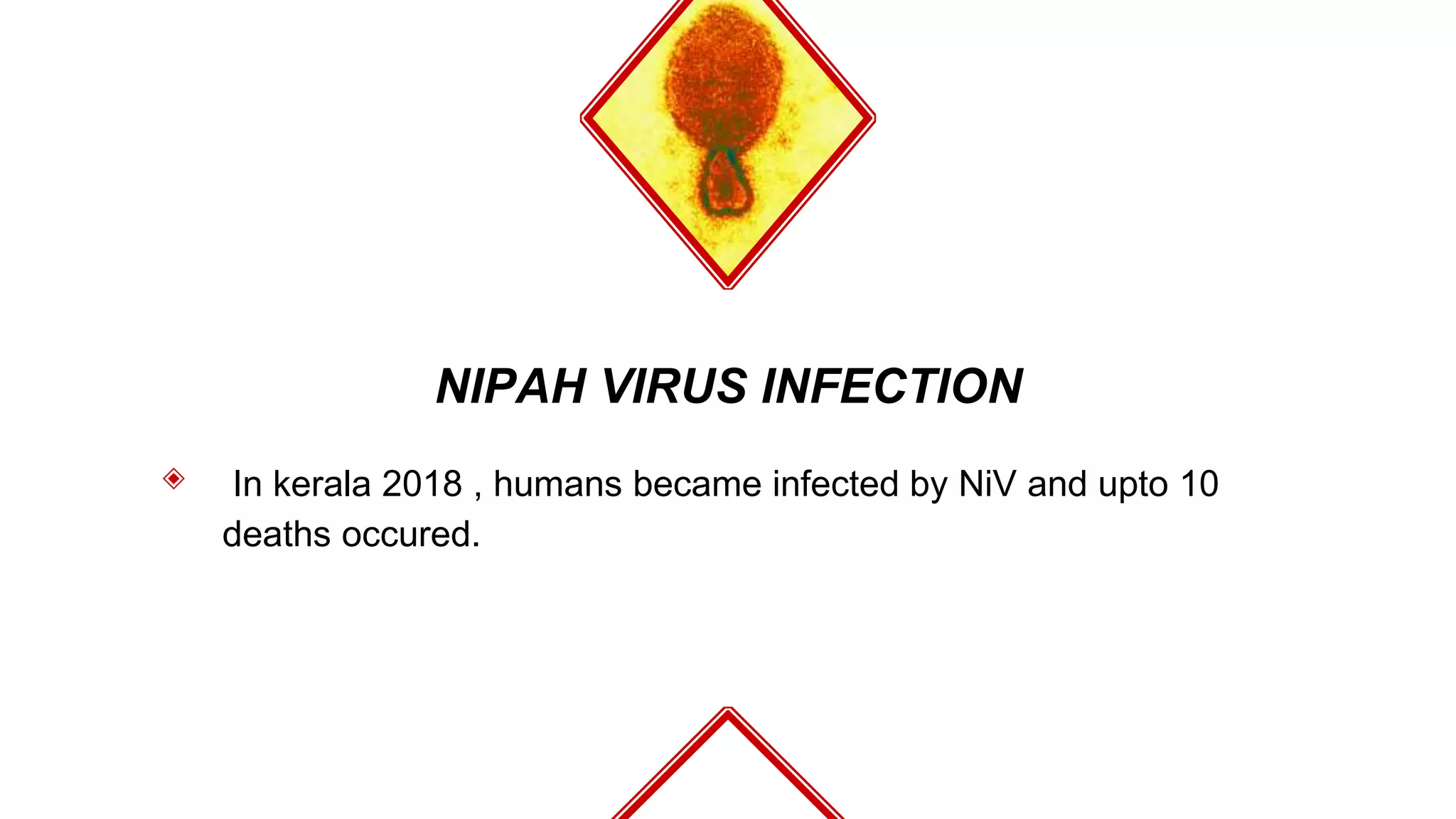 Nipah virus infection | PPTX