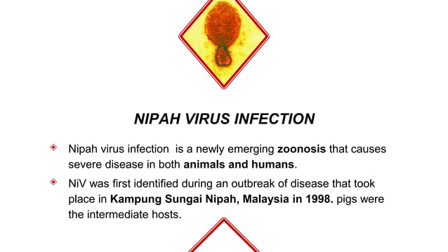 Nipah virus infection | PPTX