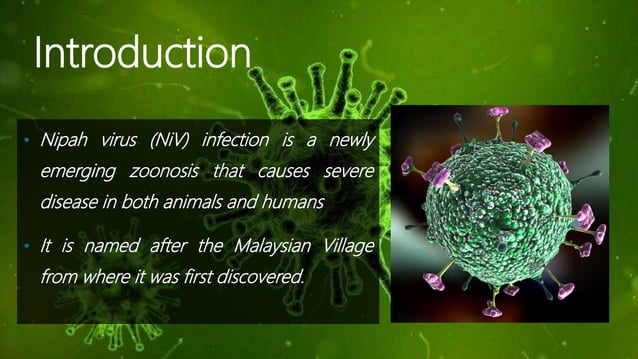 nipahvirus-180525062654 (1).pdf