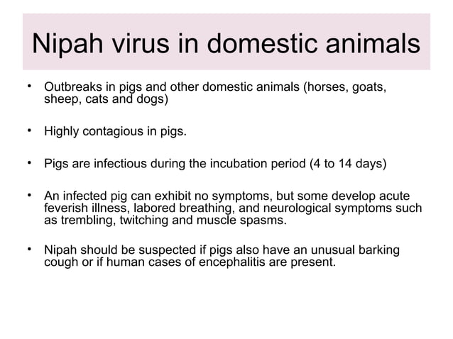Nipah virus | PPT