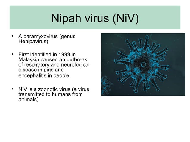 Nipah virus | PPT