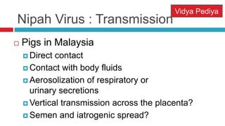 Nipah virus | PPTX