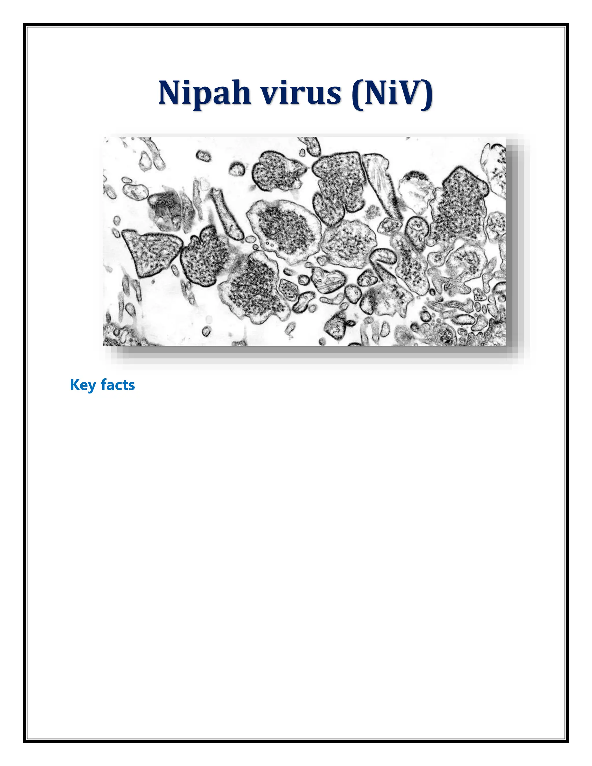 Nipah virus.docx