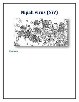 Nipah virus.docx