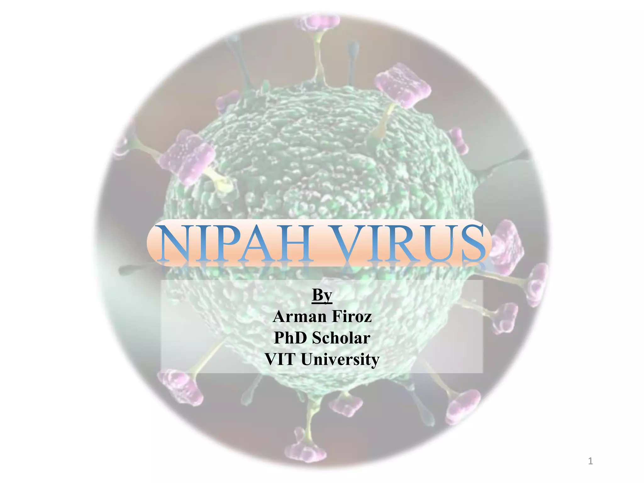 Nipah virus ppt | PPTX | Infectious Diseases | Diseases and Conditions