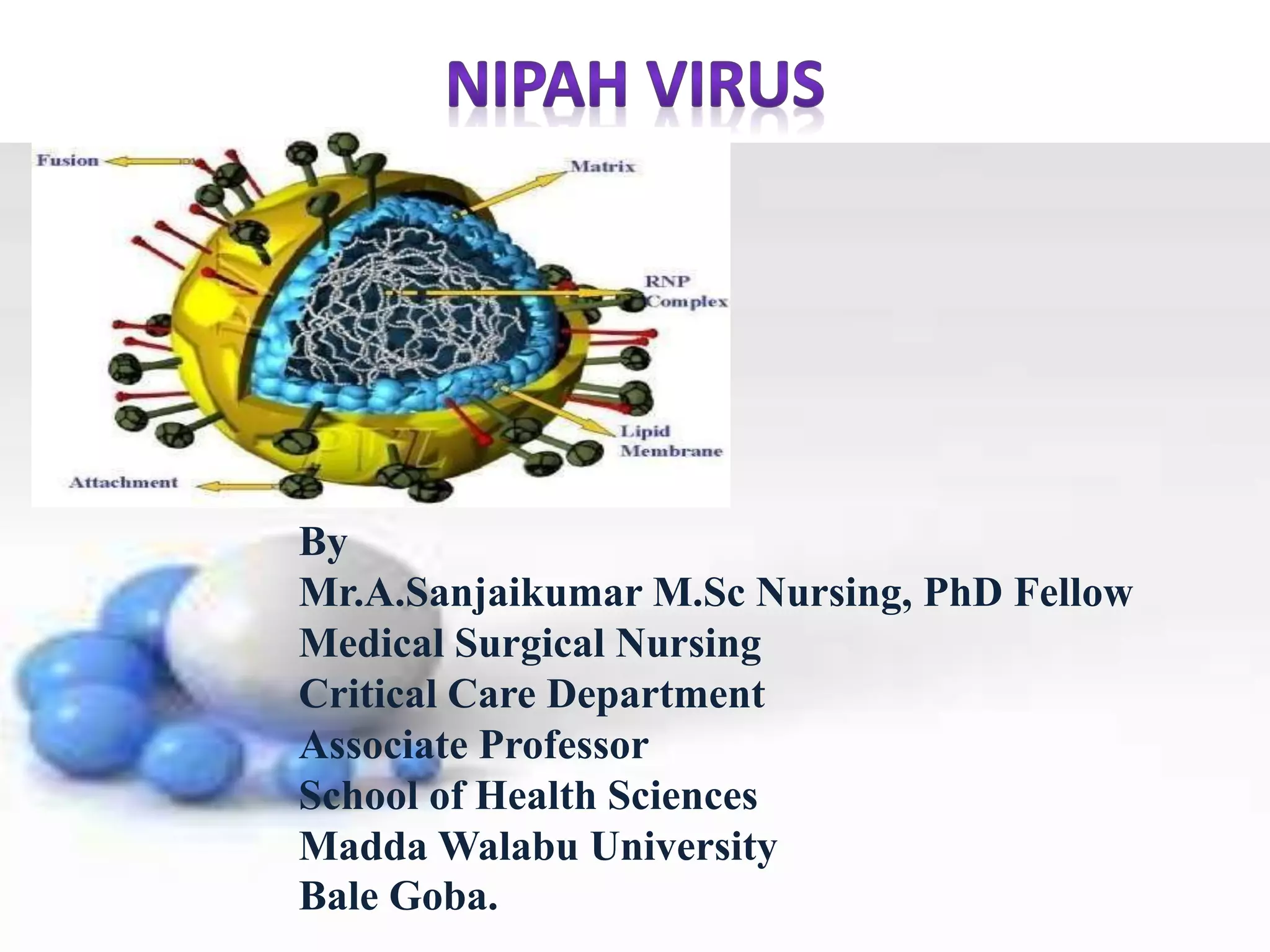 Nipah virus disease condition and awarness ppt | PPT