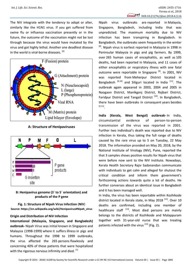 Nipah Virus Infectious Agent- An Overview | PDF