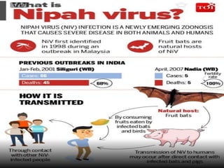 Nipah virus presentation | PPTX