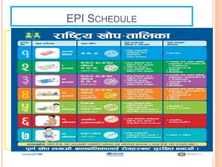 National Immunization Program of Nepal from POSDCORB Perspectives | PPTX
