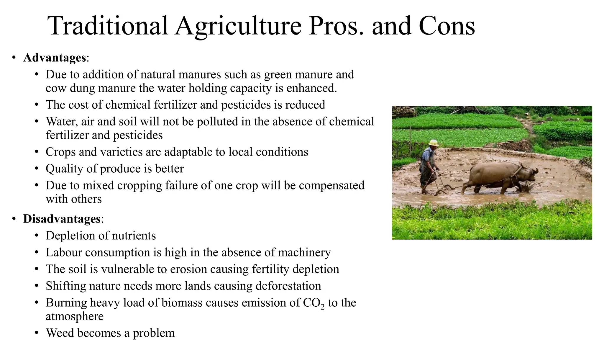 Environmental Impact: Traditional Agriculture and Regenerative ...