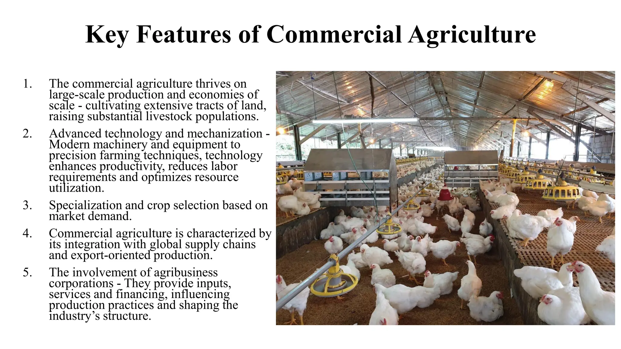 Environmental Impact: Traditional Agriculture and Regenerative ...