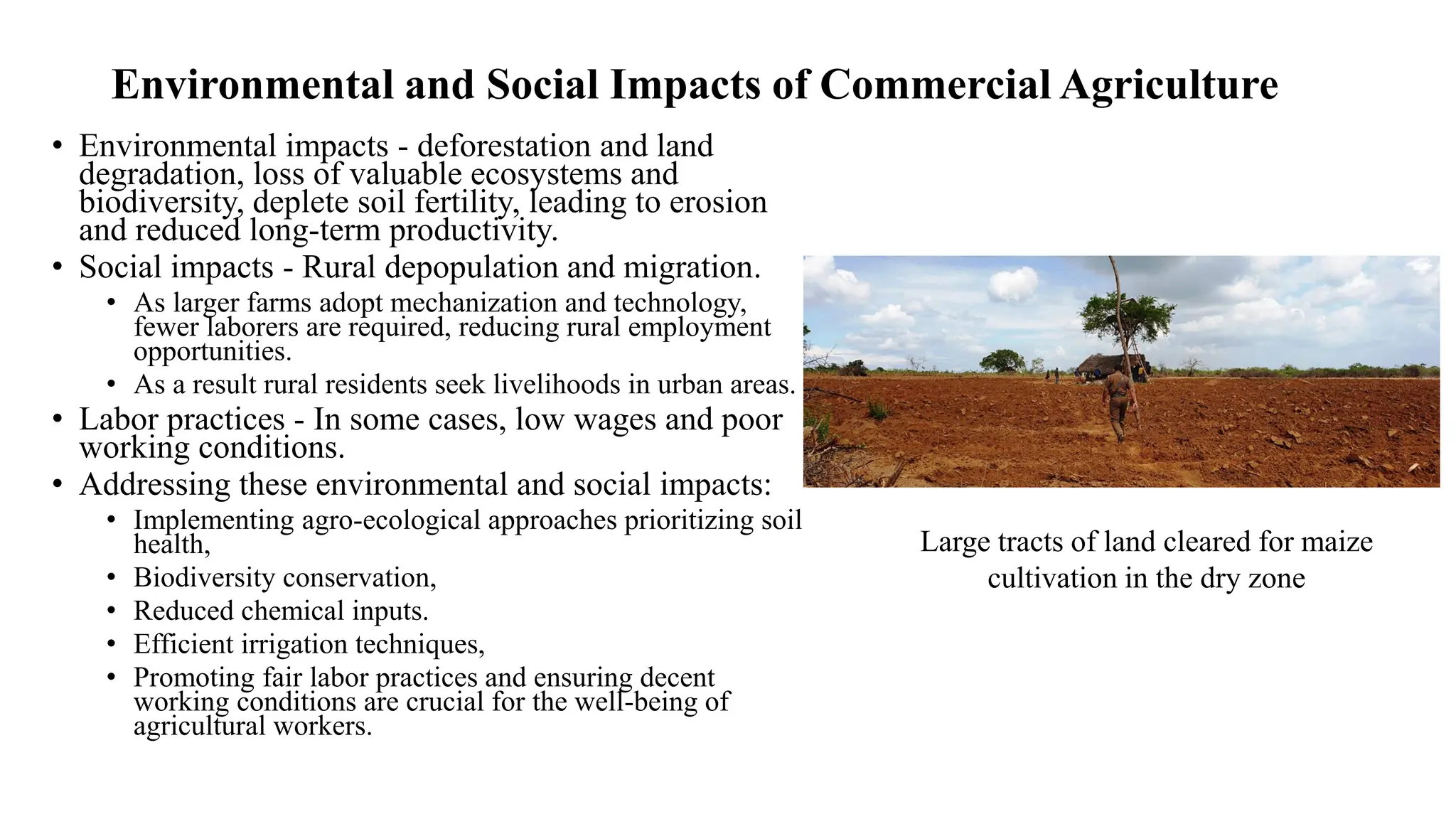 Environmental Impact: Traditional Agriculture and Regenerative ...