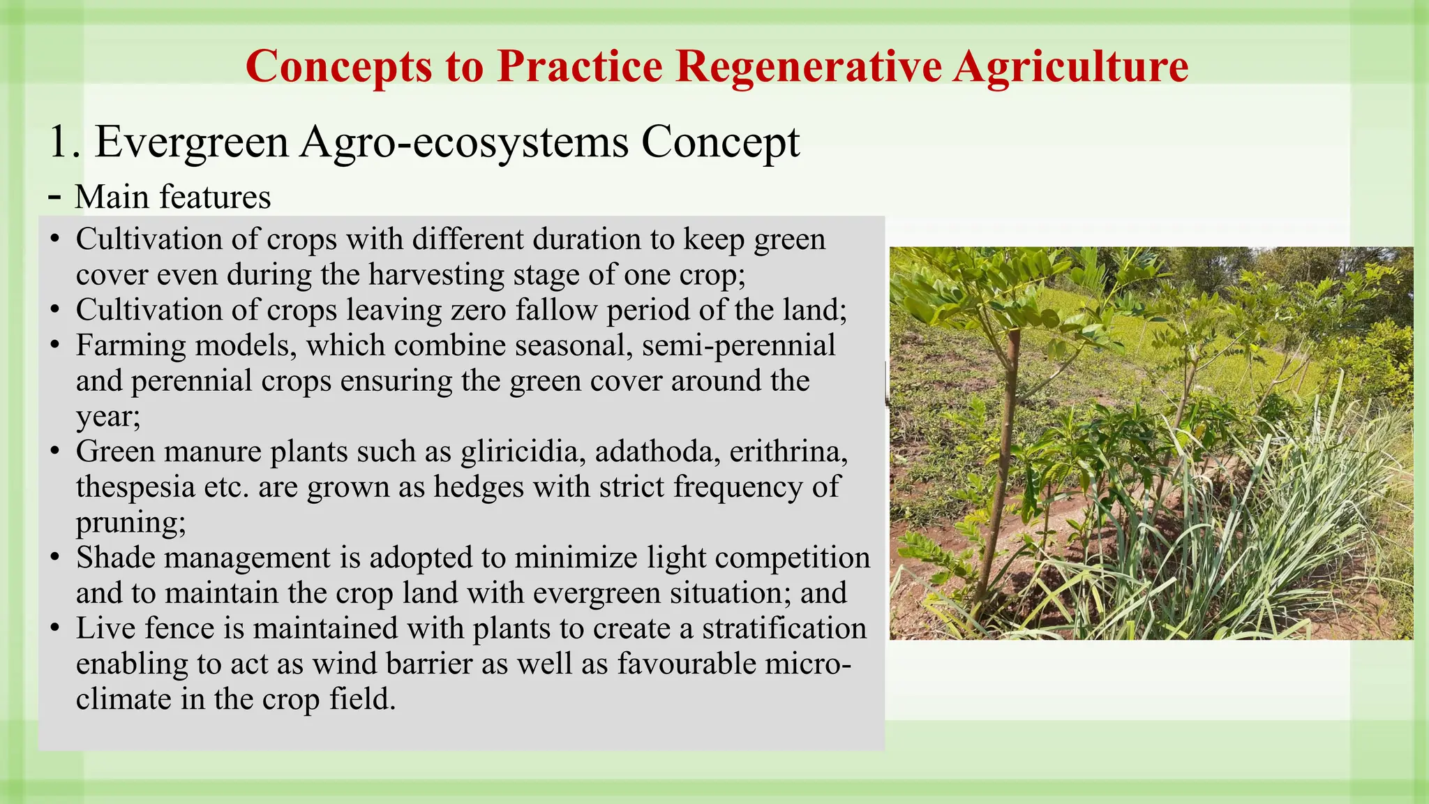 Environmental Impact: Traditional Agriculture and Regenerative ...