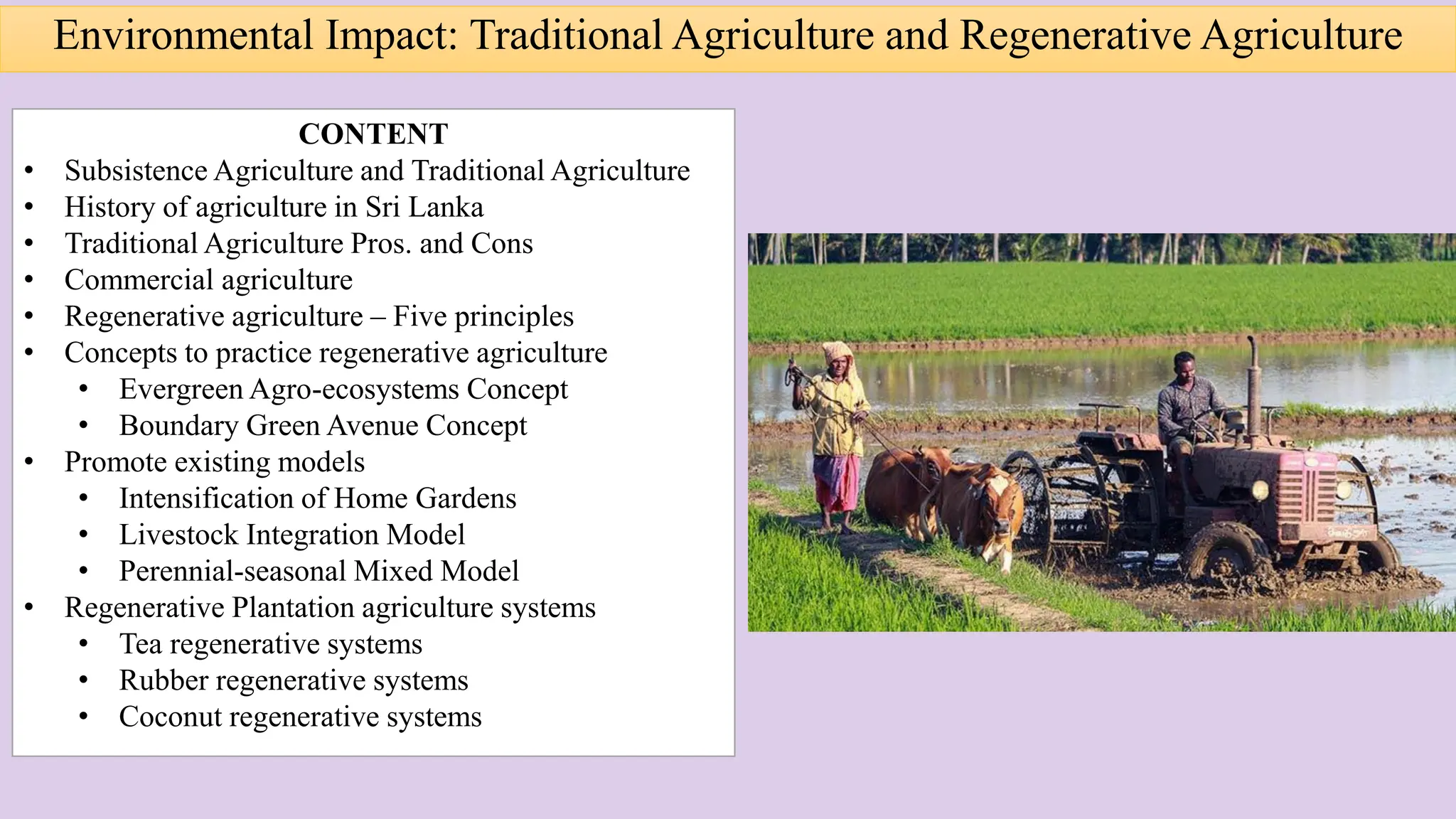 Environmental Impact: Traditional Agriculture and Regenerative ...